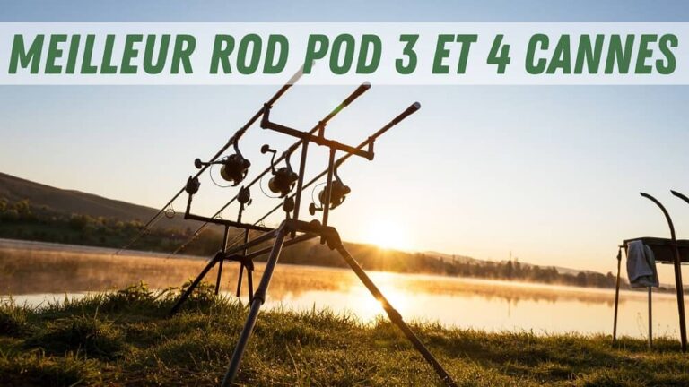 Les 7 Meilleurs Rod Pod 3 & 4 Cannes : Lequel Choisir ? - Pêcher Gros