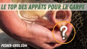 Les 25 Appâts pour Carpe Redoutables et Peu Connus ! - Pêcher Gros