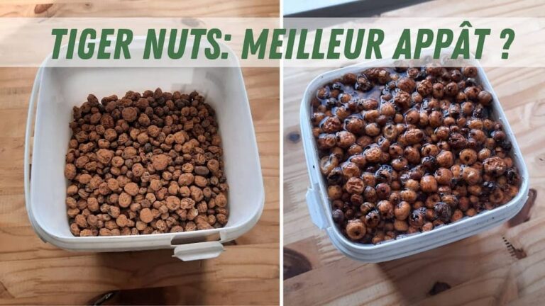Tiger Nuts et Carpe: Toxique ? (Cuisson, Recette, Montage...) - Pêcher Gros